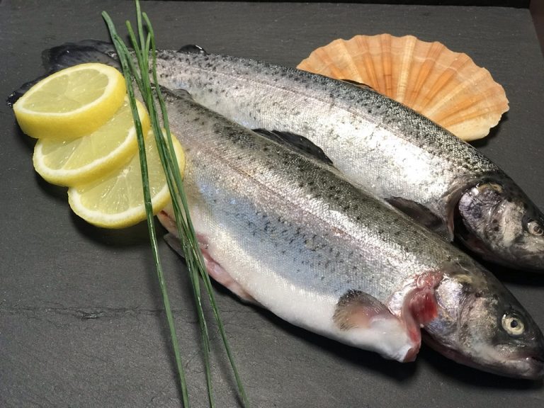 Forel - Visspeciaalzaak De Haan